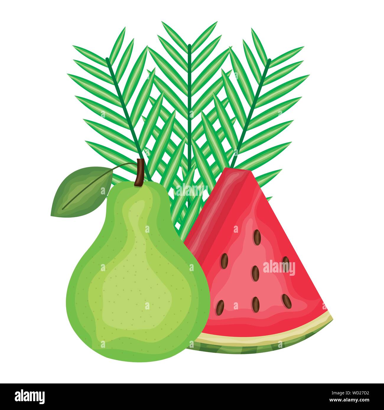 fresh watermelon and pear fruits vector illustration design Stock ...