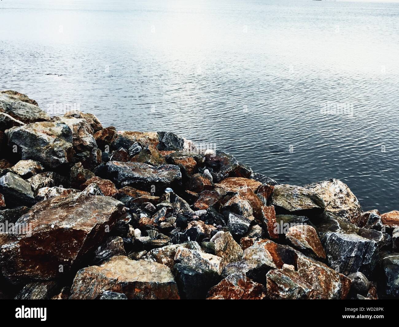 Stornoway People High Resolution Stock Photography and Images - Alamy