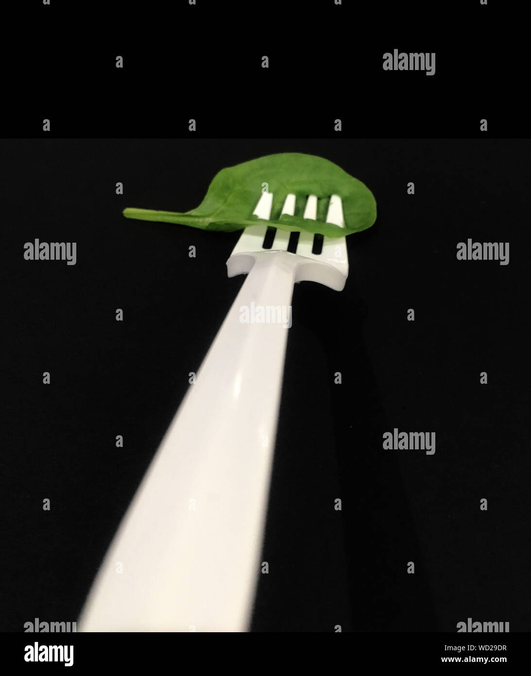 Fork leaf hi-res stock photography and images - Alamy