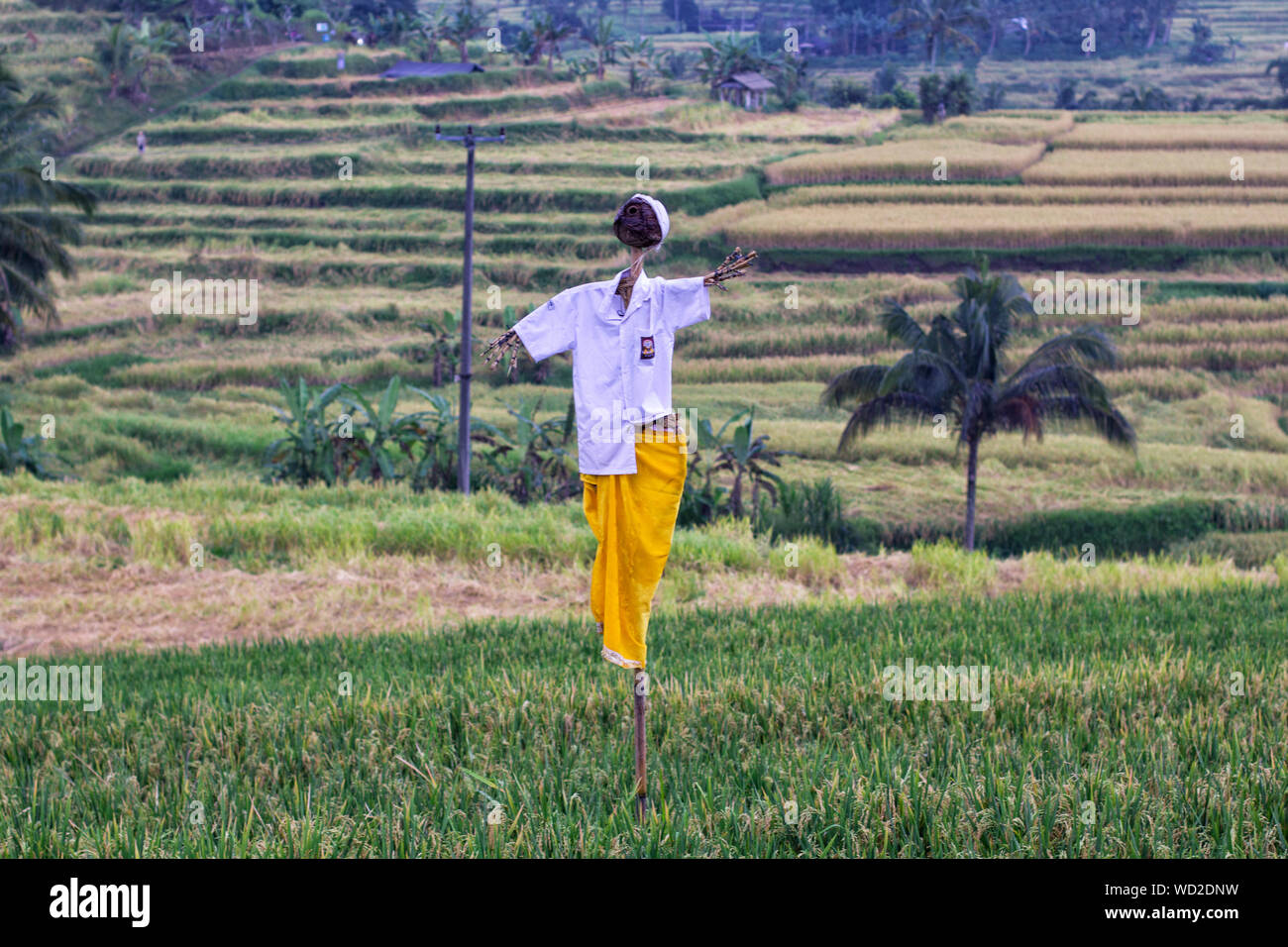 Cloth ideas hi-res stock photography and images - Alamy