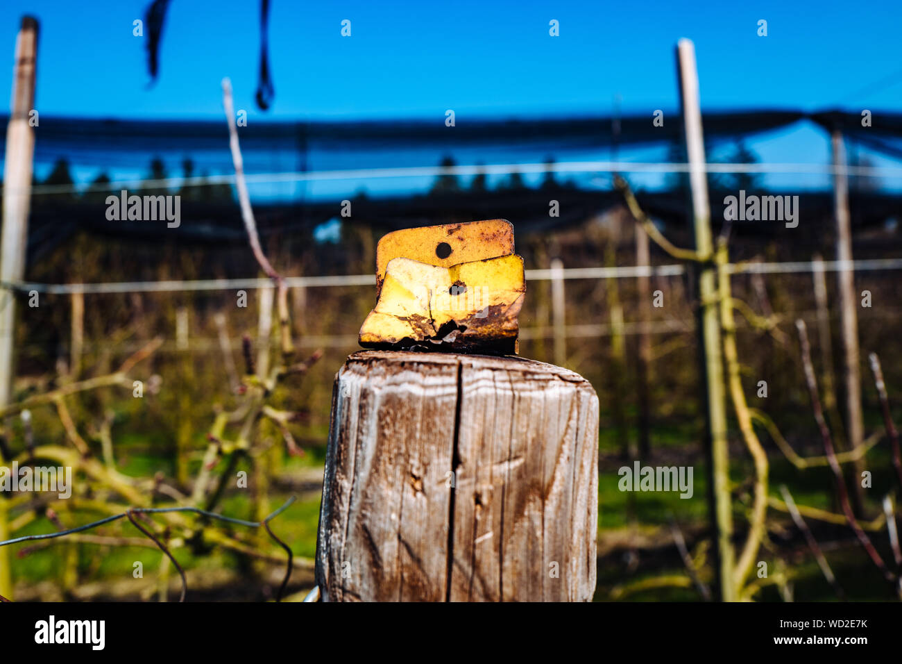 Stump fence hi-res stock photography and images - Alamy