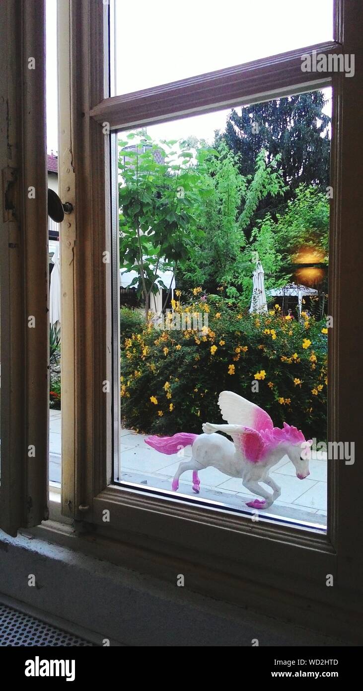 Unicorn glass hi-res stock photography and images - Alamy