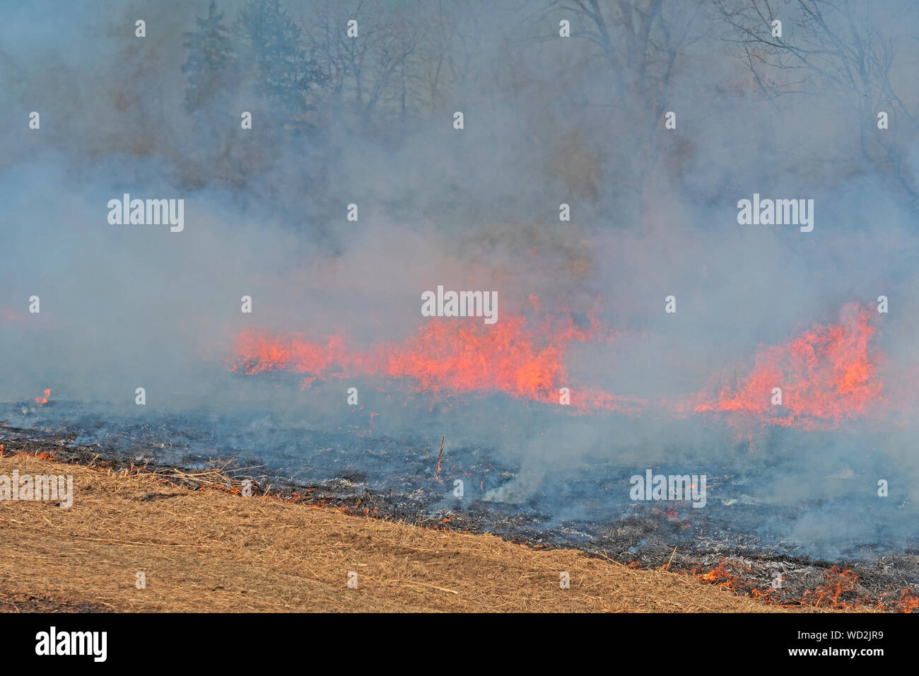 Fire burn cloud hi-res stock photography and images - Alamy