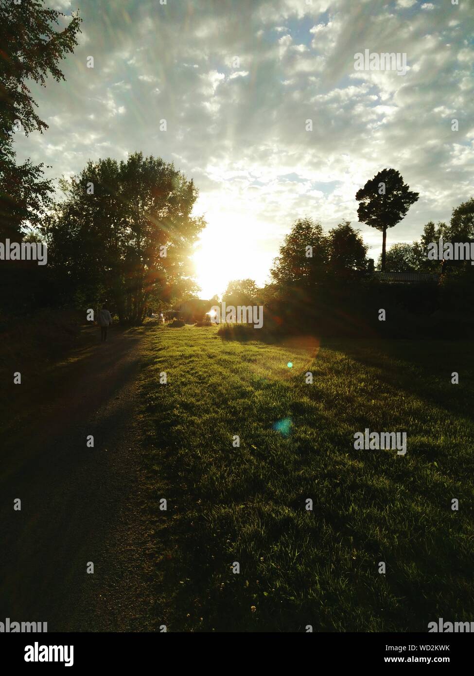 Falling in grass hi-res stock photography and images - Alamy