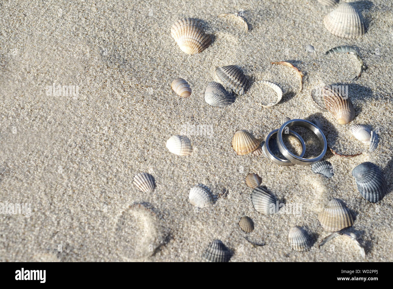 Ring of seashells hi-res stock photography and images - Alamy