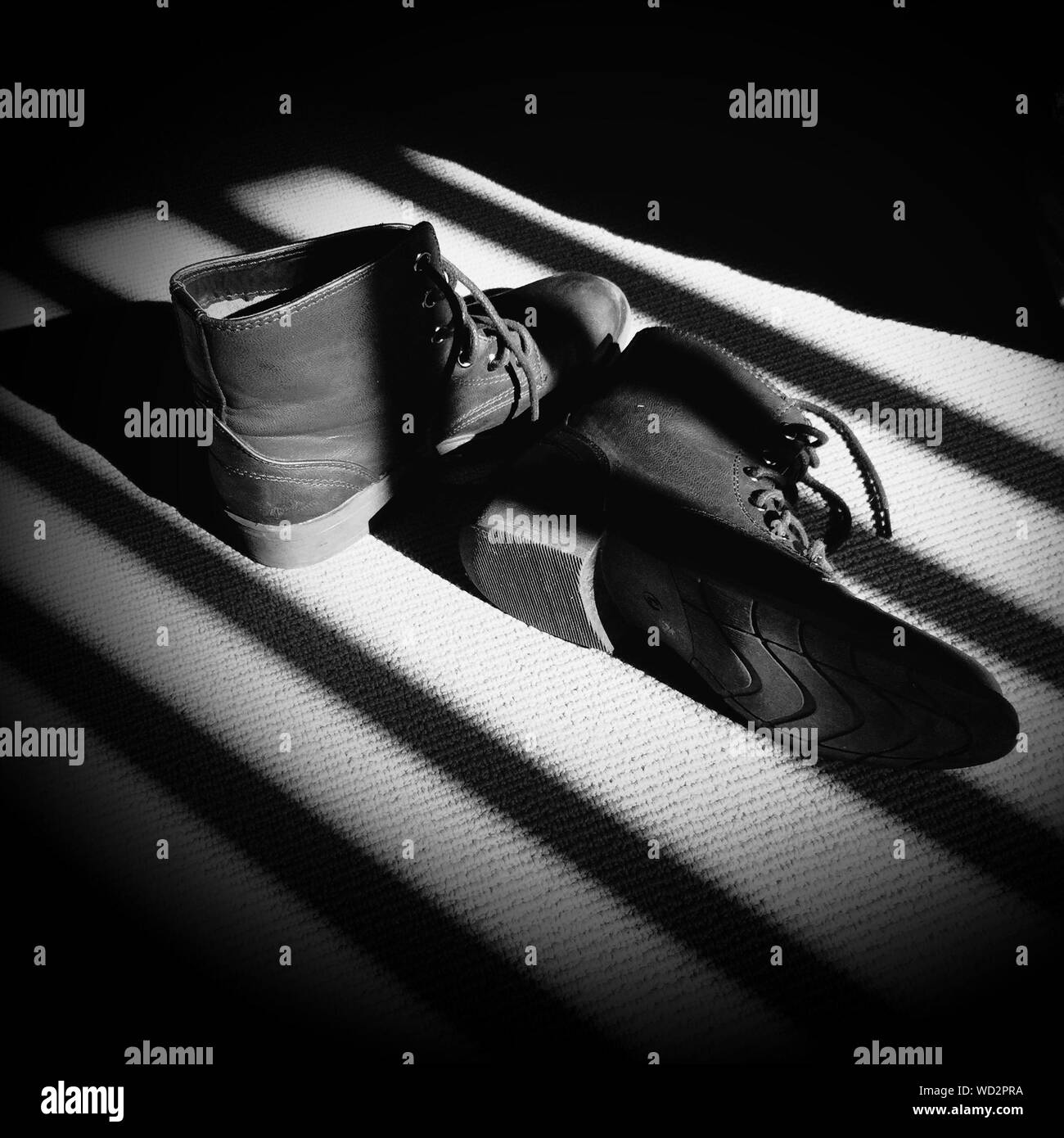 Carpet Black and White Stock Photos & Images - Alamy