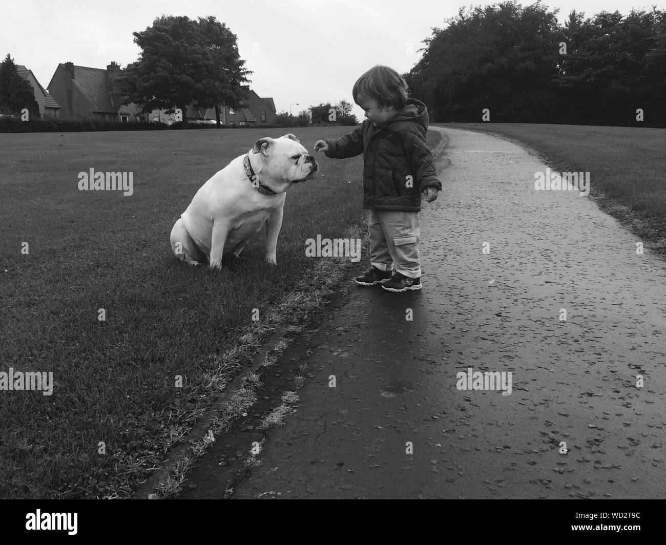Bulldog and baby hi-res stock photography and images - Alamy