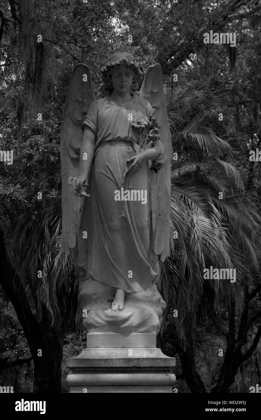 Graveyard statue of angel hi-res stock photography and images - Alamy