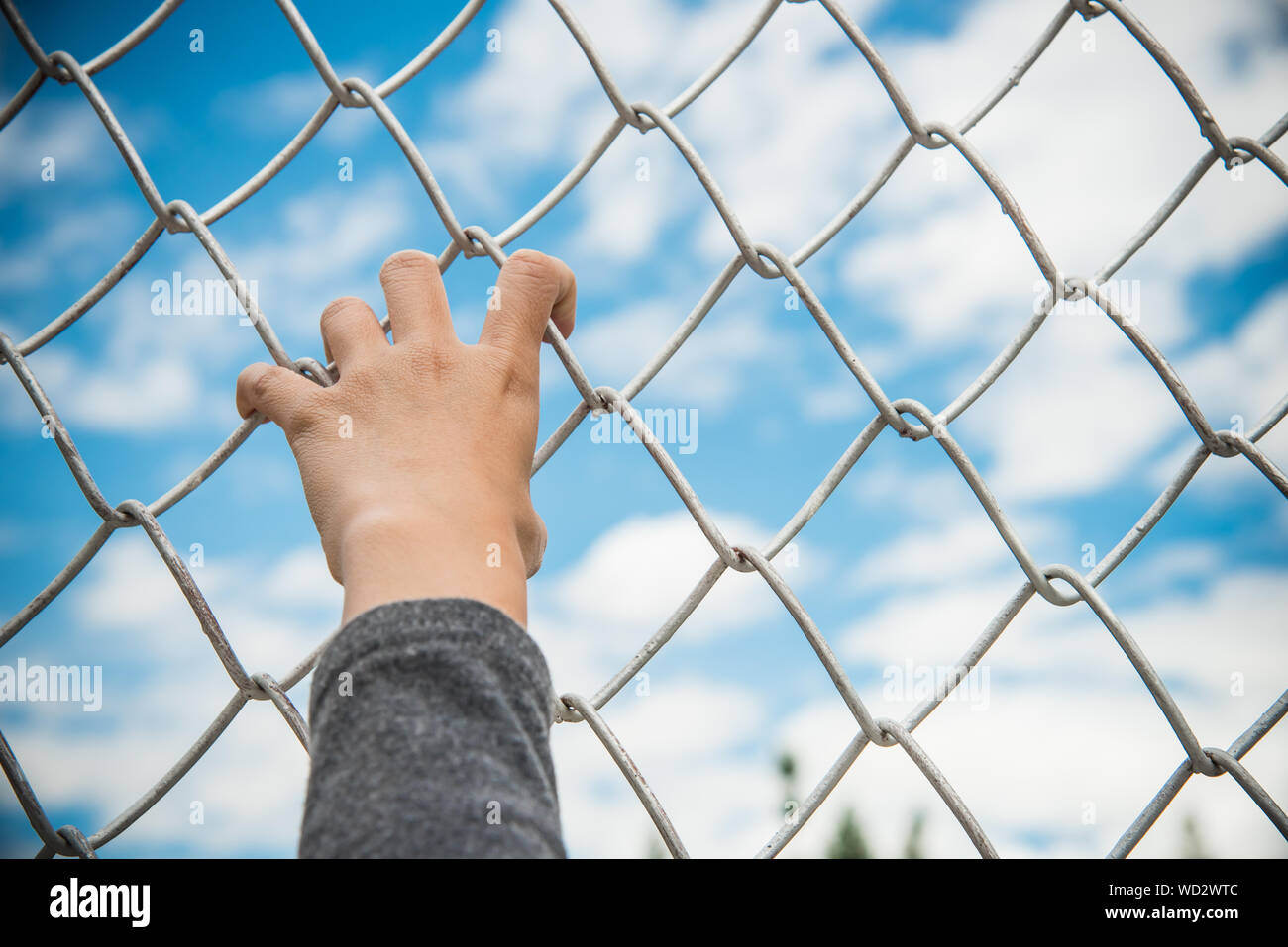 Hand fence chainlink fence hi-res stock photography and images - Alamy