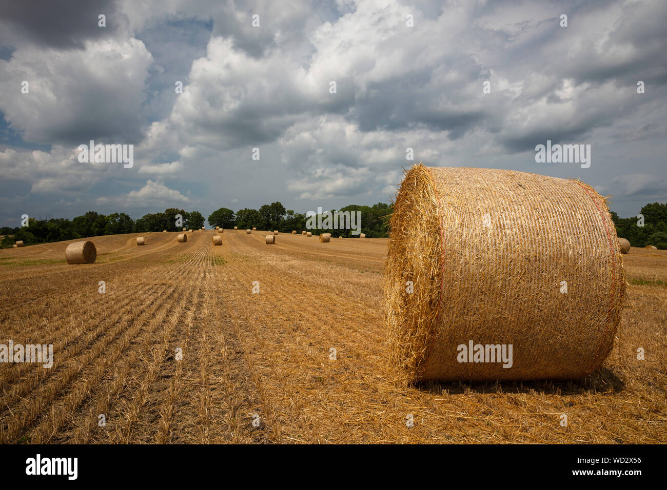 Wisconsin dairy farm hi-res stock photography and images - Alamy