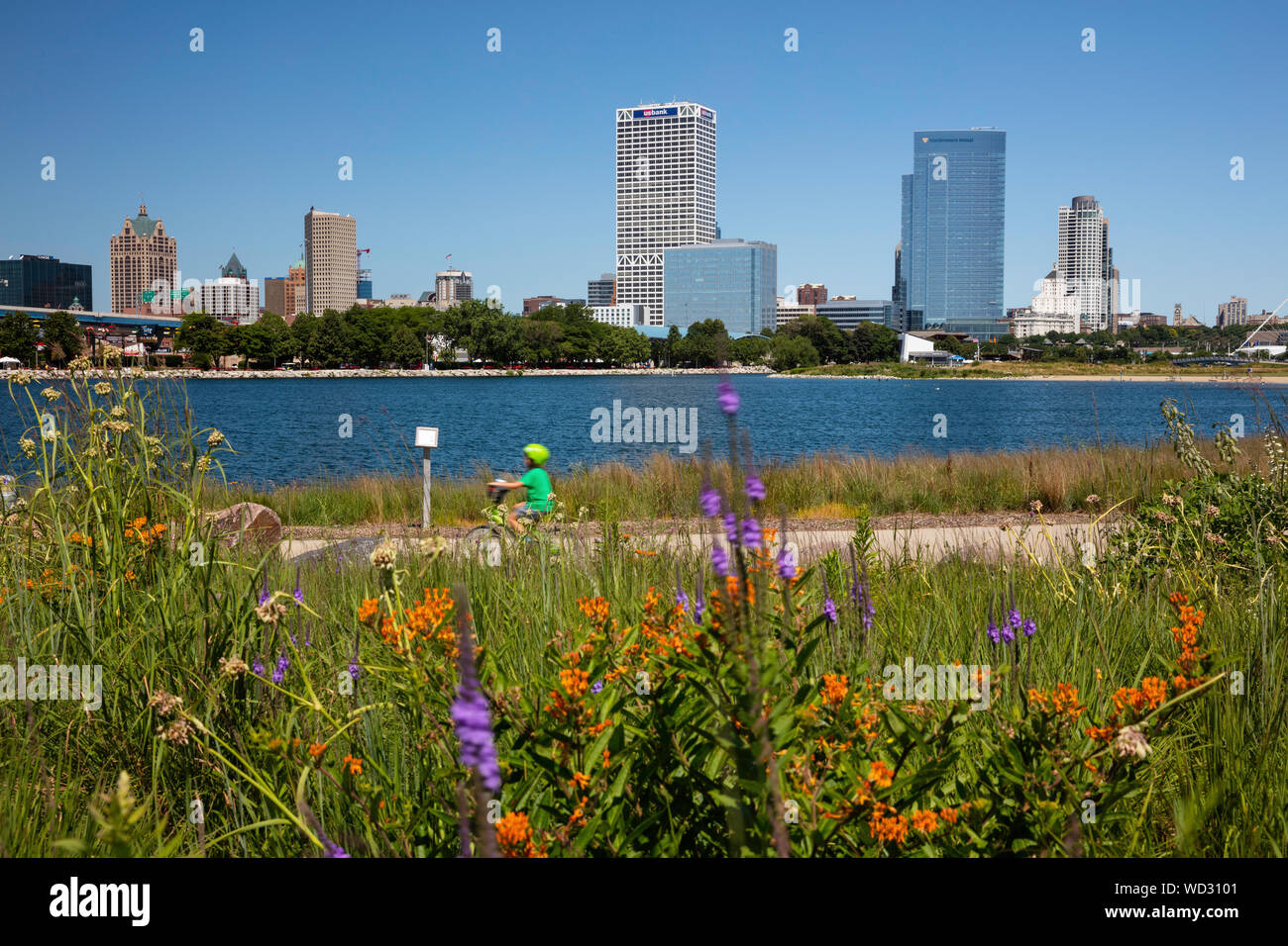 Downtown Milwaukee from Lakeshore State Park with wildflowers, Wsconsin ...
