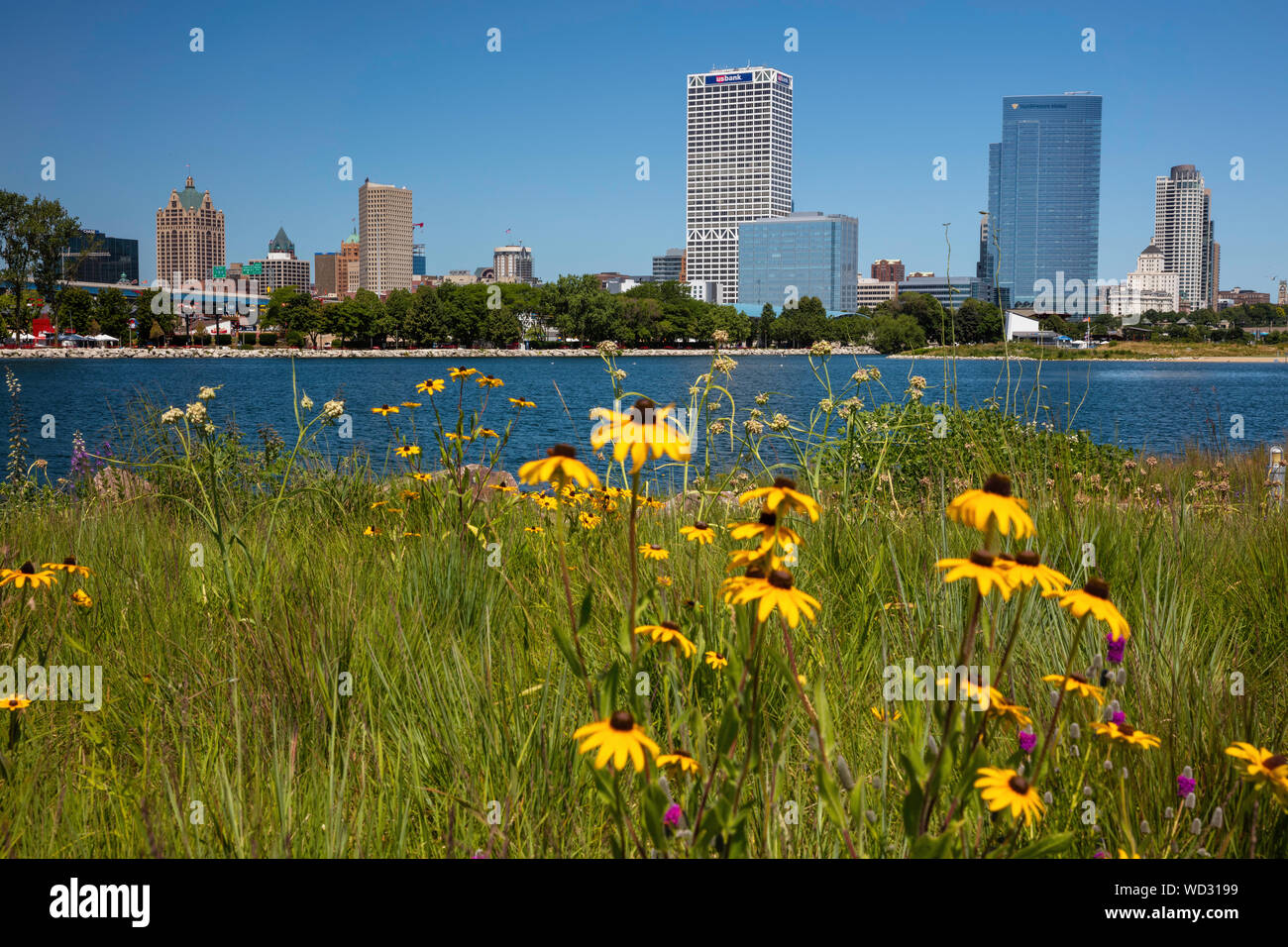 Downtown Milwaukee from Lakeshore State Park with wildflowers, Wsconsin ...