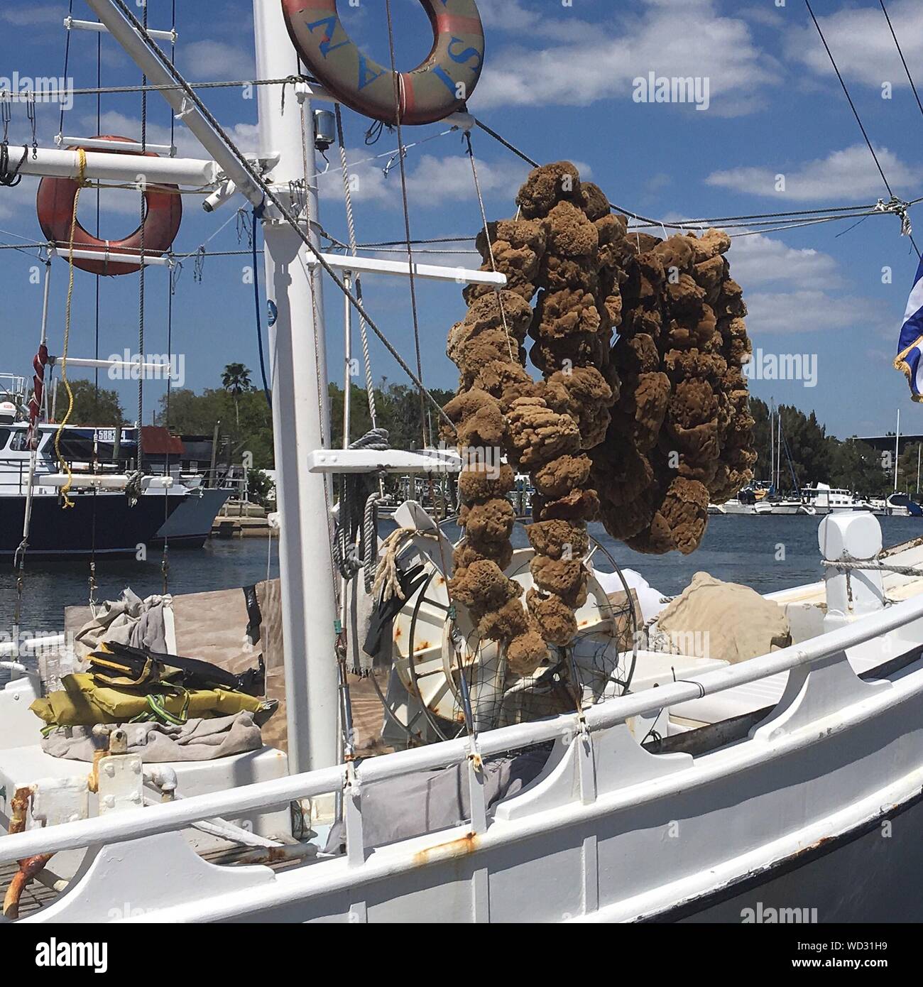 Cow boat hi-res stock photography and images - Alamy
