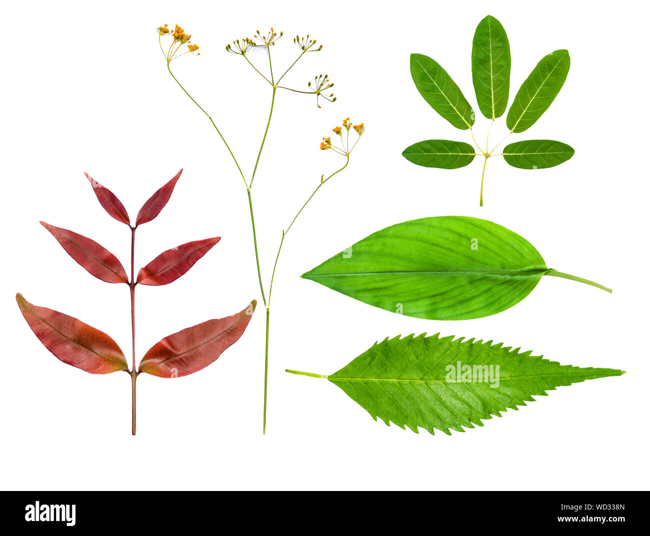 Various shape wallpaper card hi-res stock photography and images - Alamy