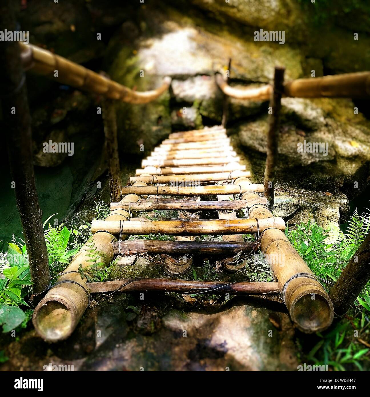 Wooden ladder hi-res stock photography and images - Alamy