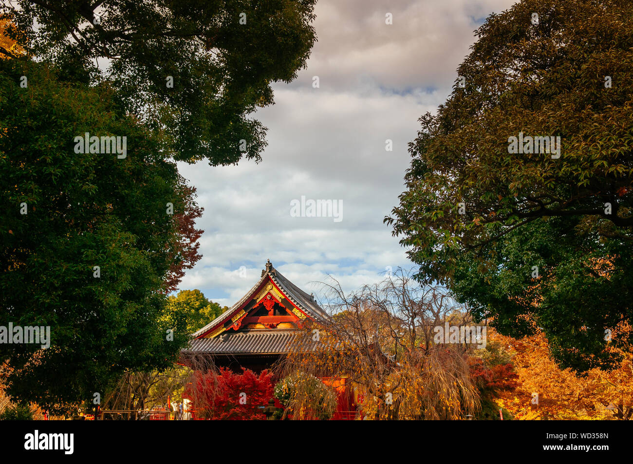 Kiyomizu kannon do temple hi-res stock photography and images - Alamy