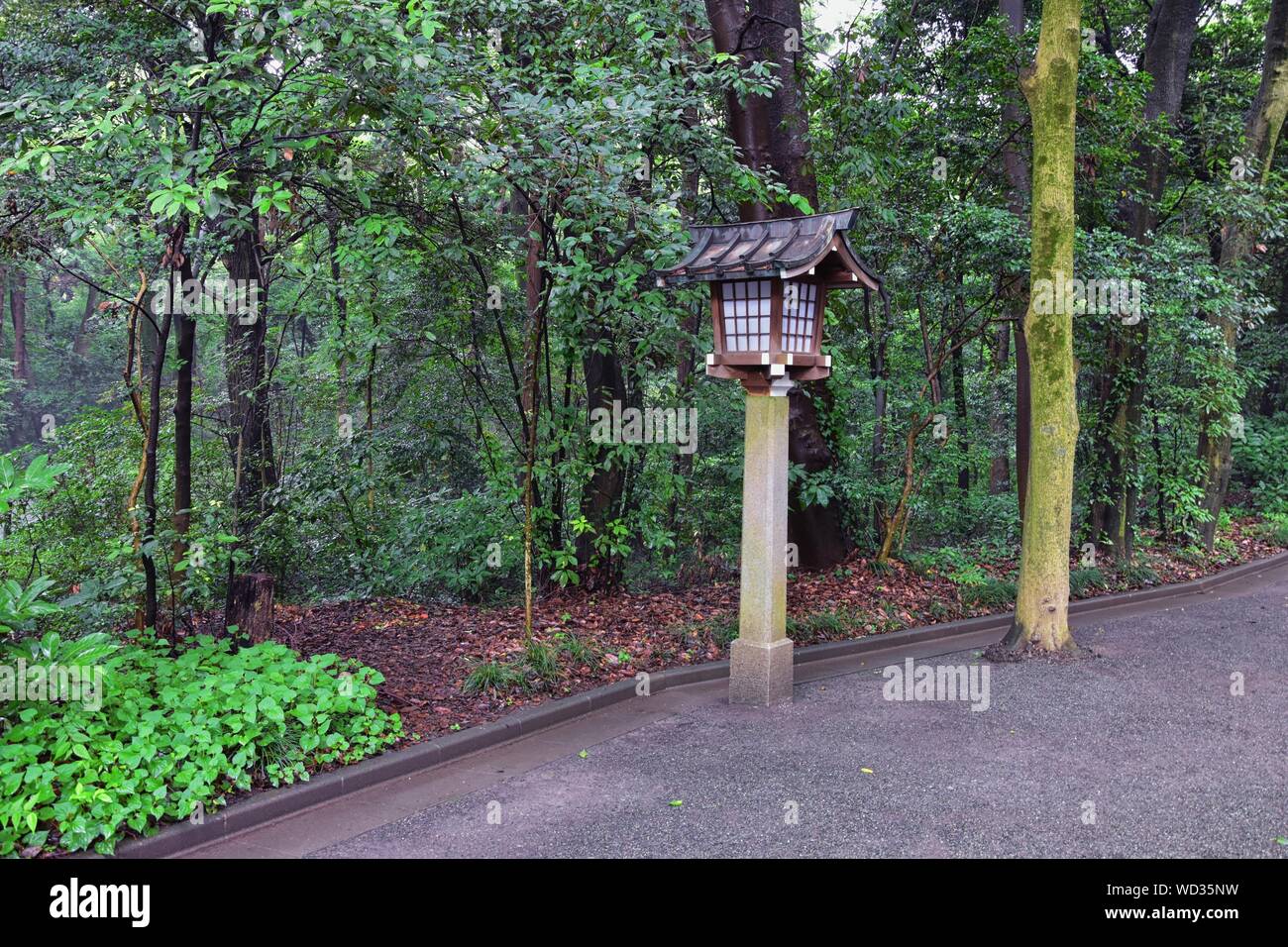 Traditional Japanese gardens in public parks in Tokyo, Japan. Views of ...
