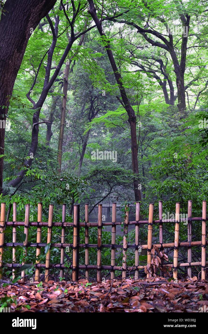 Traditional Japanese gardens in public parks in Tokyo, Japan. Views of ...