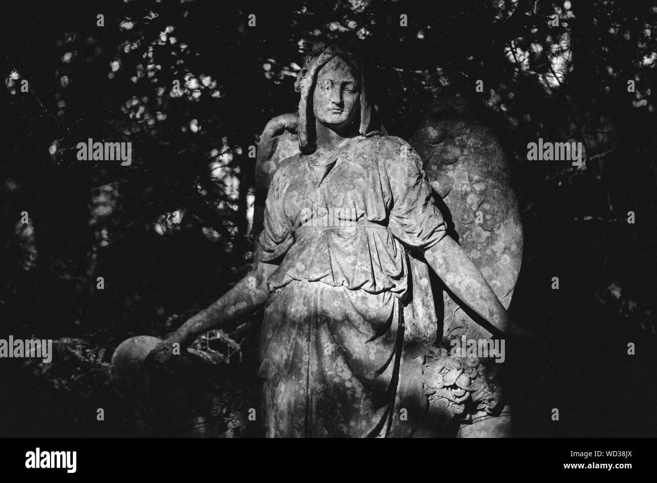 Statue of angel in cemetery Black and White Stock Photos & Images - Alamy