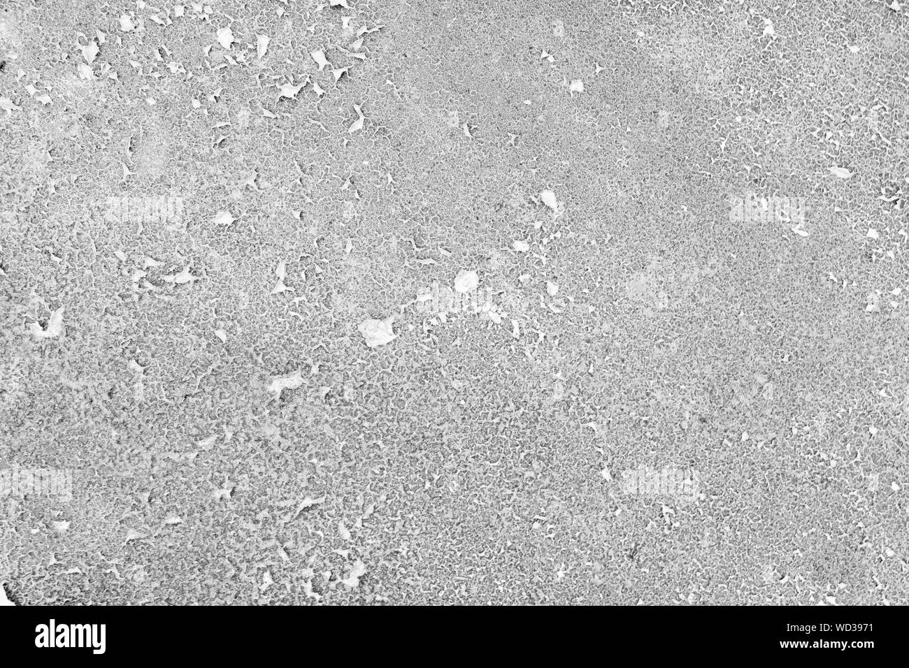 wall cement old texture damage floor concrete vignette for background ...