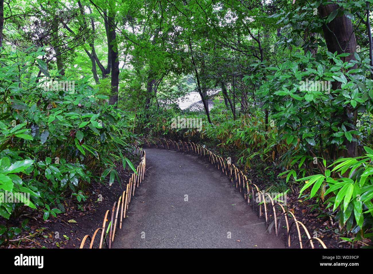Traditional Japanese gardens in public parks in Tokyo, Japan. Views of ...