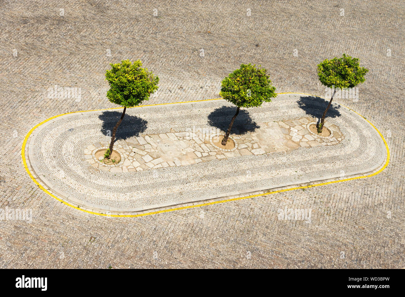 Row of three trees hi-res stock photography and images - Alamy