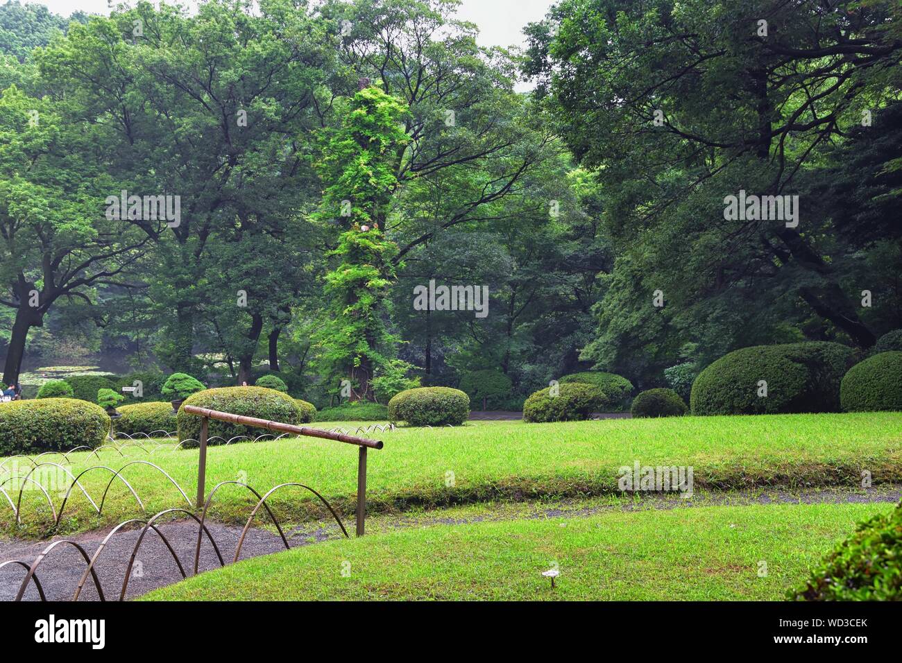 Traditional Japanese gardens in public parks in Tokyo, Japan. Views of ...