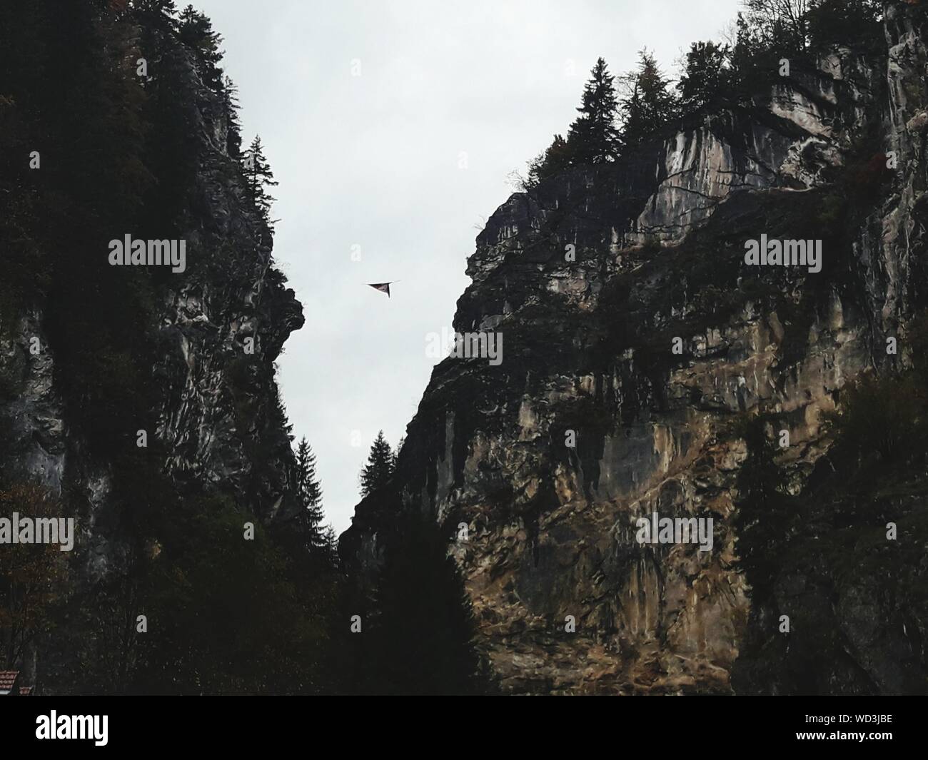 Flying with glider hi-res stock photography and images - Alamy
