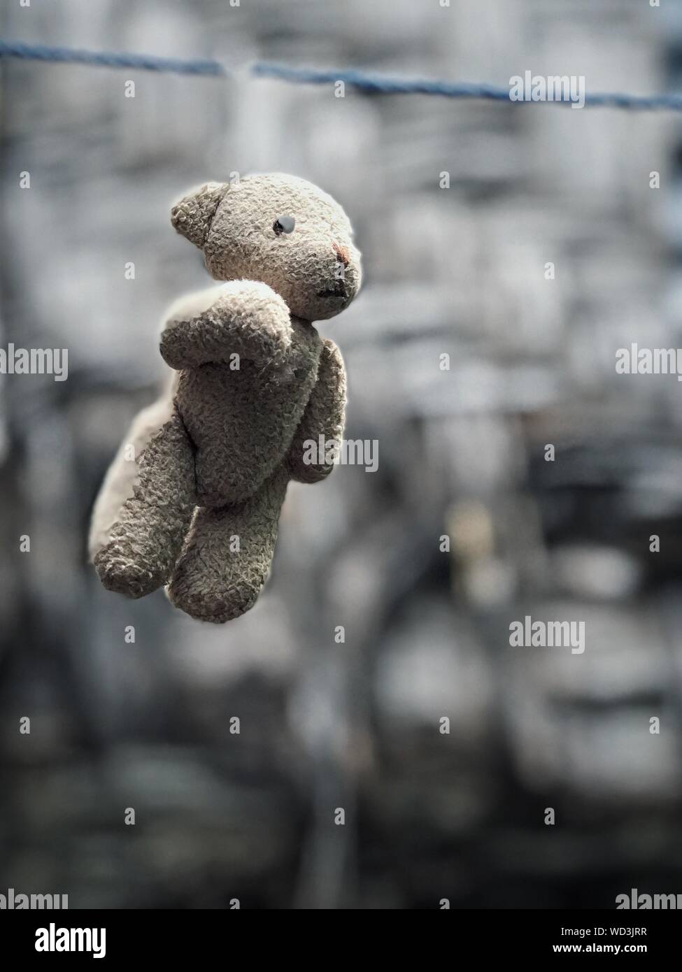Teddy bear outdoors hi-res stock photography and images - Alamy