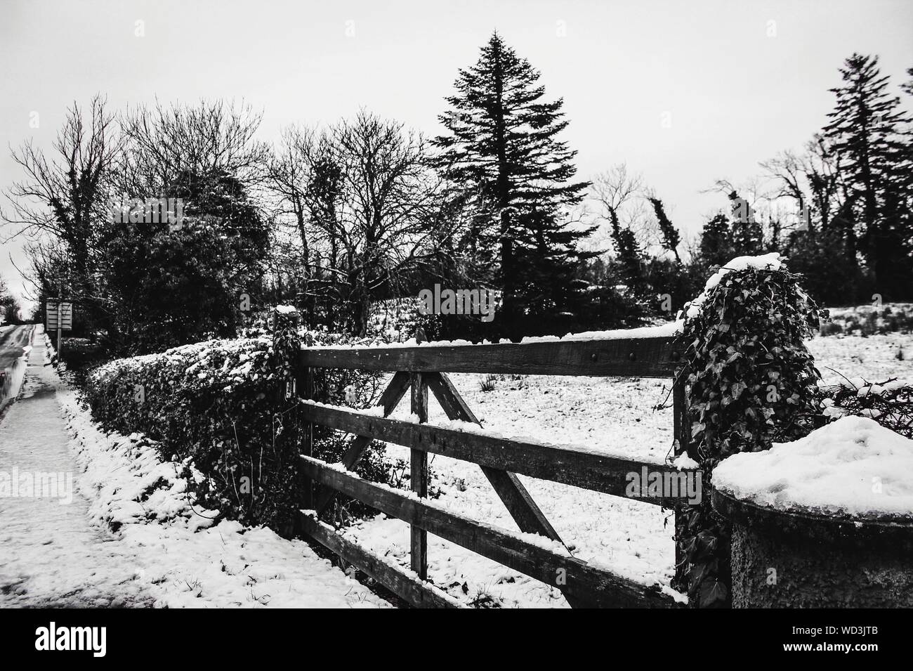 Snow covered gate hi-res stock photography and images - Alamy