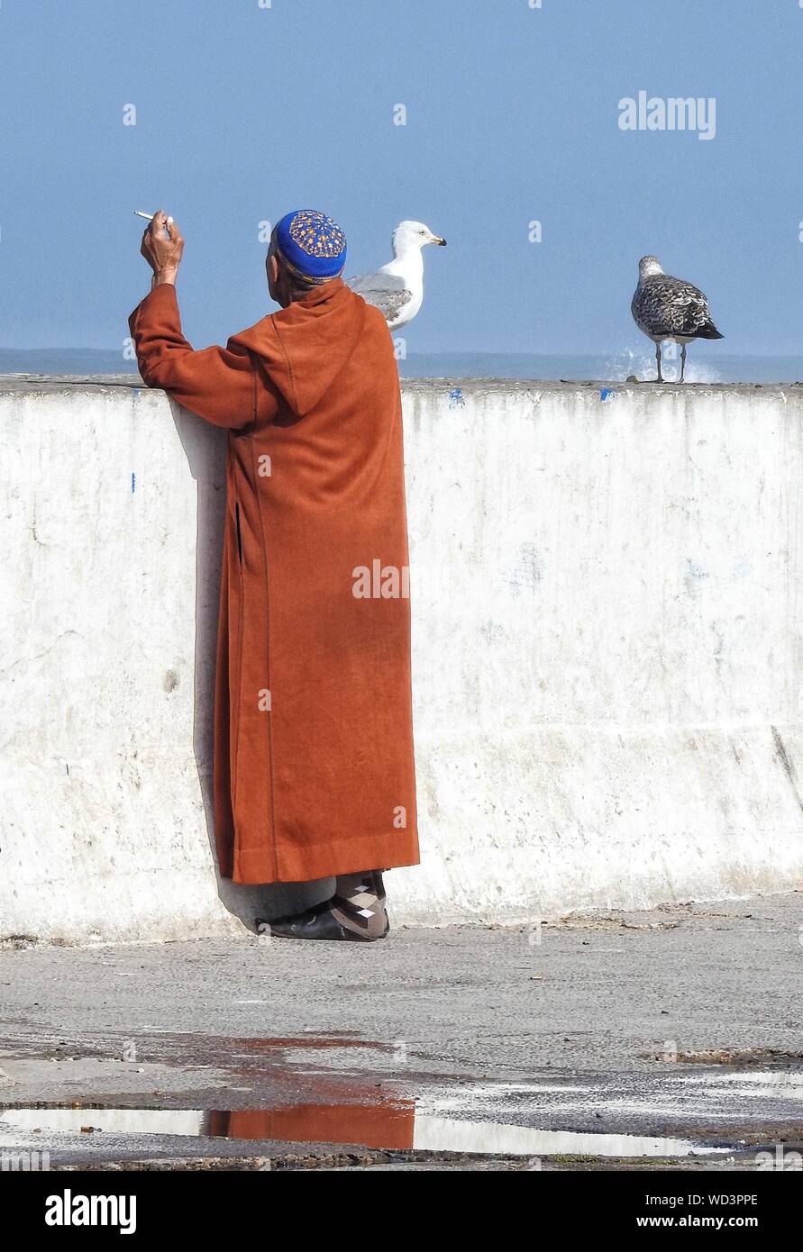 Seagull smoking hi-res stock photography and images - Alamy