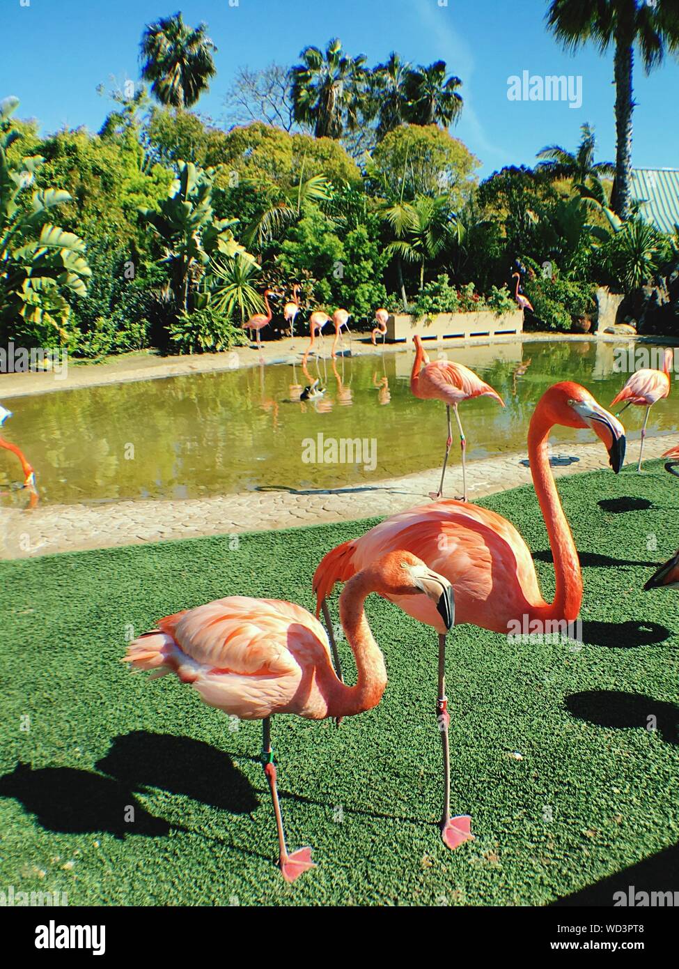 Seaworld park hi-res stock photography and images - Alamy