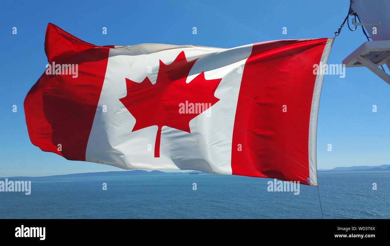 Waving canadian flag hi-res stock photography and images - Alamy