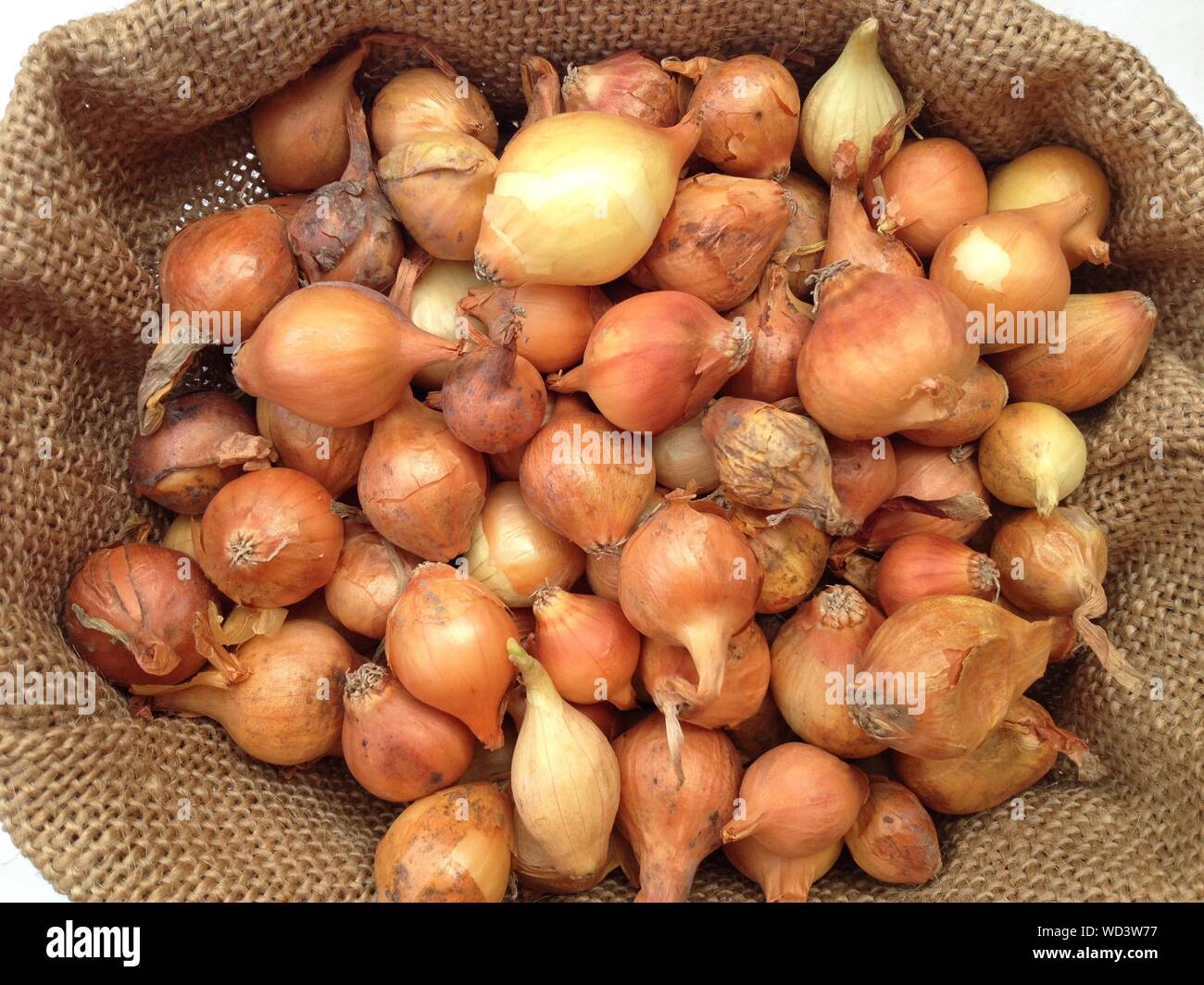 Onion sack hi-res stock photography and images - Alamy