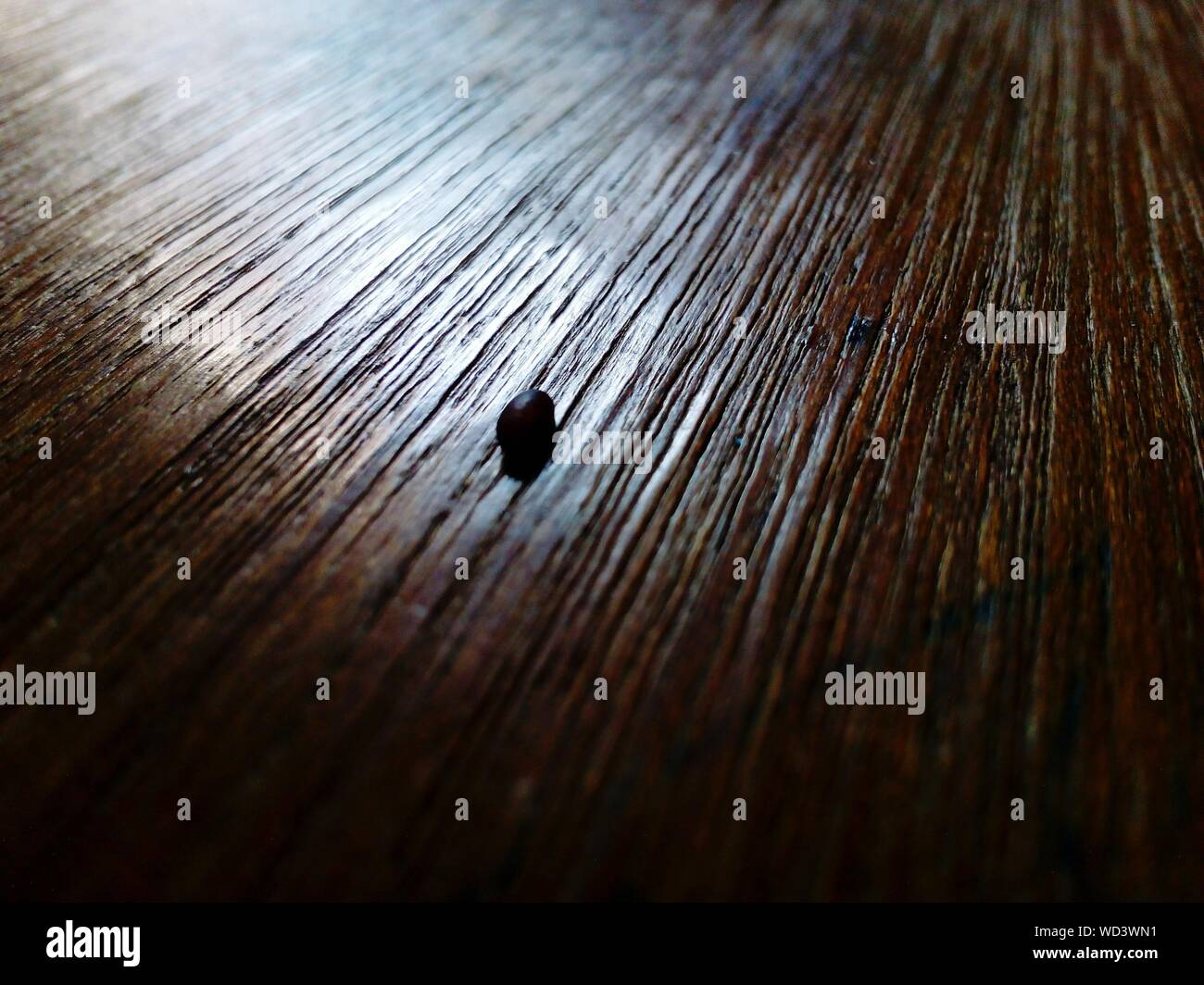 Seed of life pattern hi-res stock photography and images - Alamy