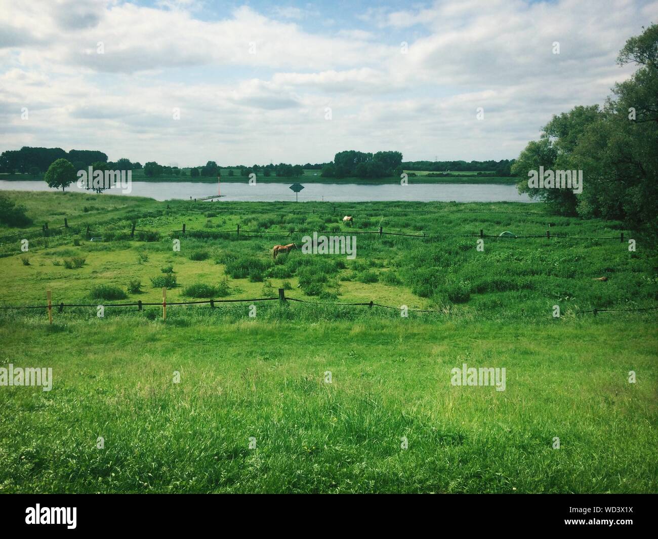 Paddock lake hi-res stock photography and images - Alamy