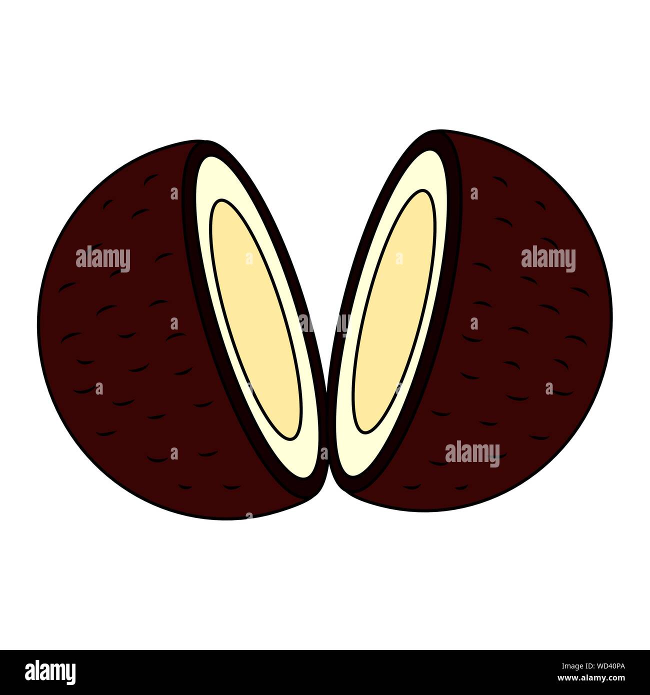 Coconut premium Cut Out Stock Images & Pictures - Alamy