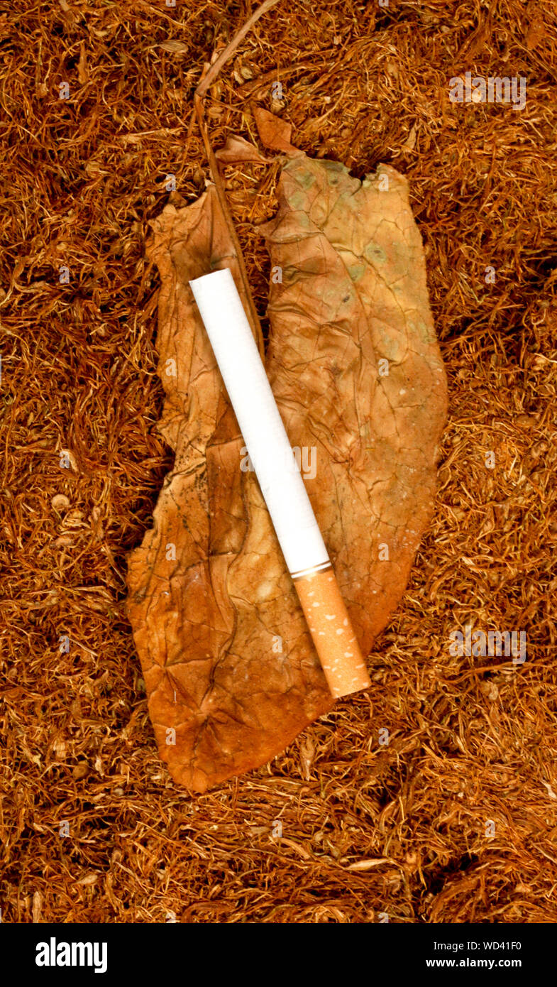 Marijuana cigarette hi-res stock photography and images - Alamy