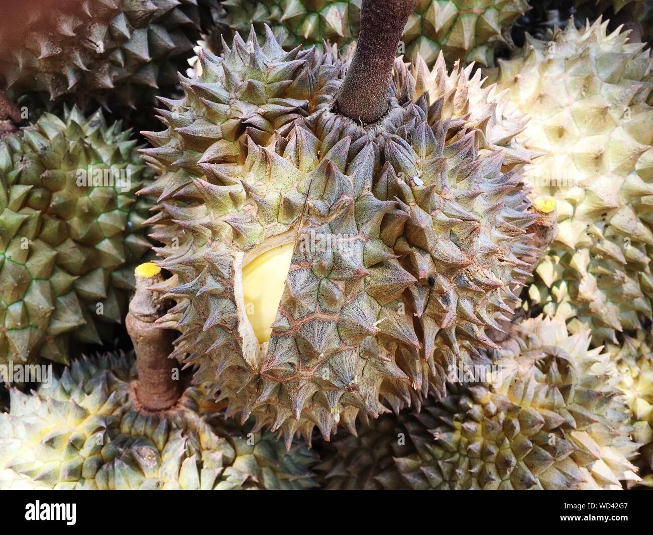 Spiked fruits hi-res stock photography and images - Alamy