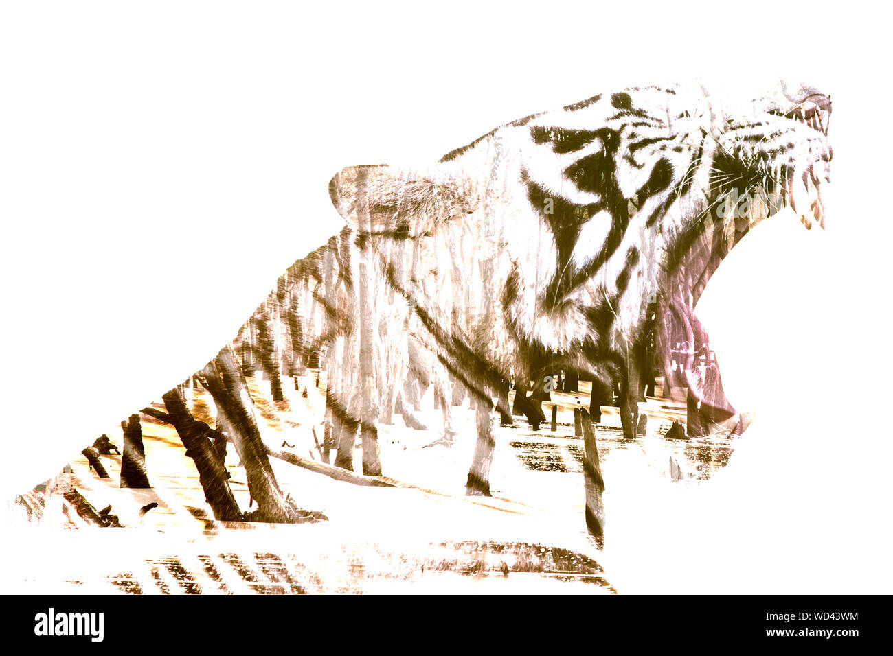 Double Exposure Wildlife High Resolution Stock Photography and Images ...
