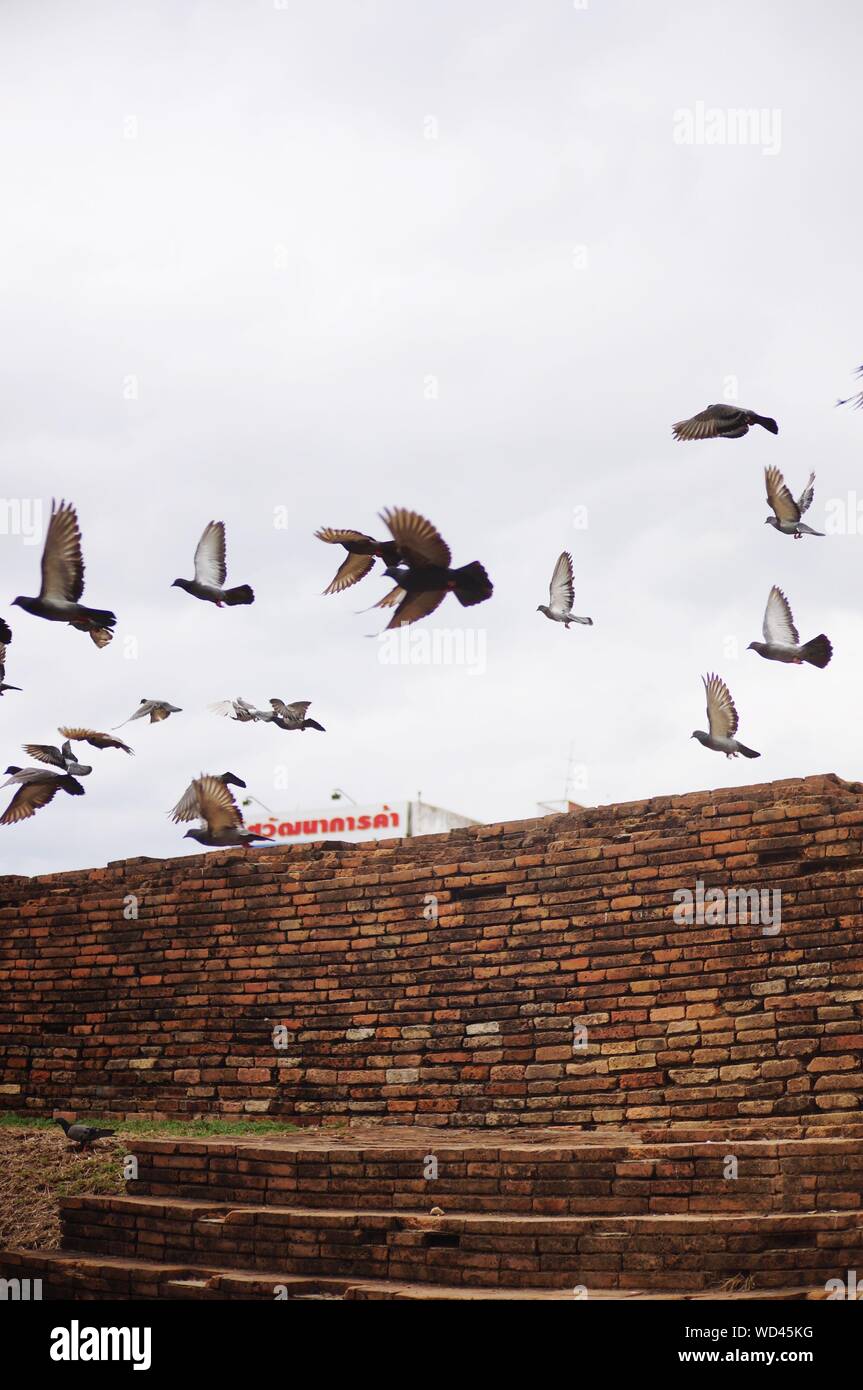 Flying brick hi-res stock photography and images - Alamy