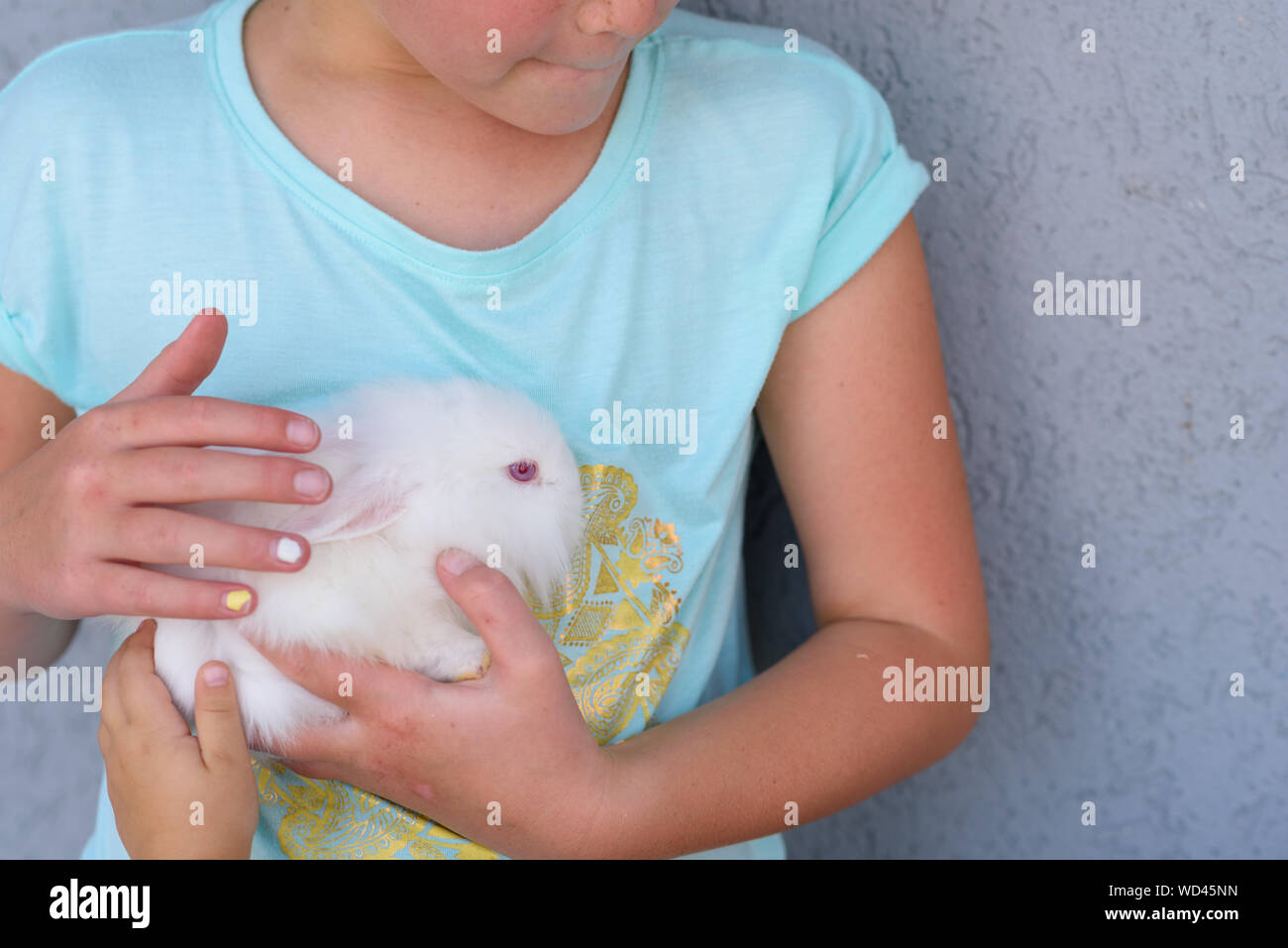 Teenager child holding a cute little white rabbit. Happy young girl ...
