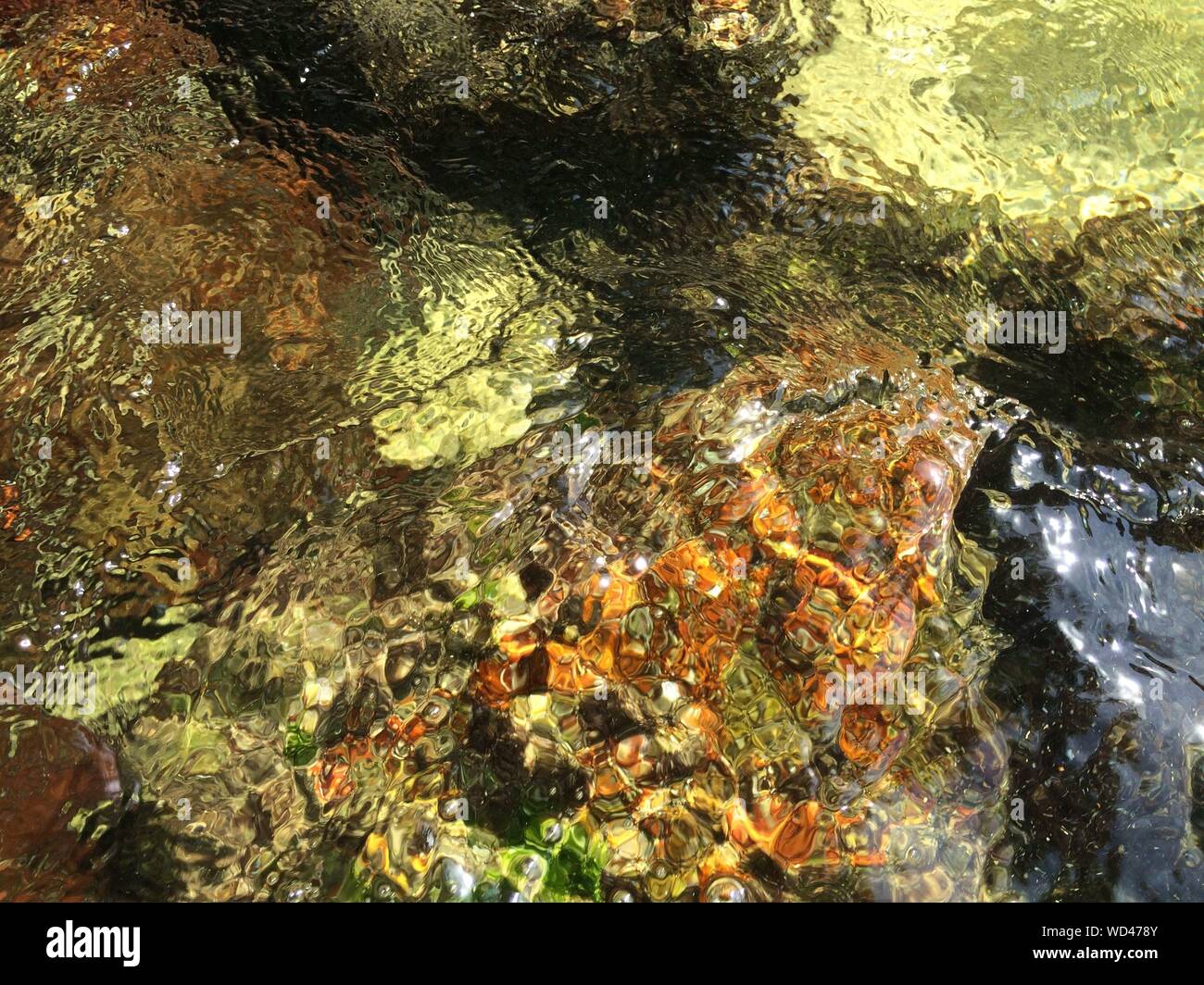 Rocky creek bottom hi-res stock photography and images - Alamy