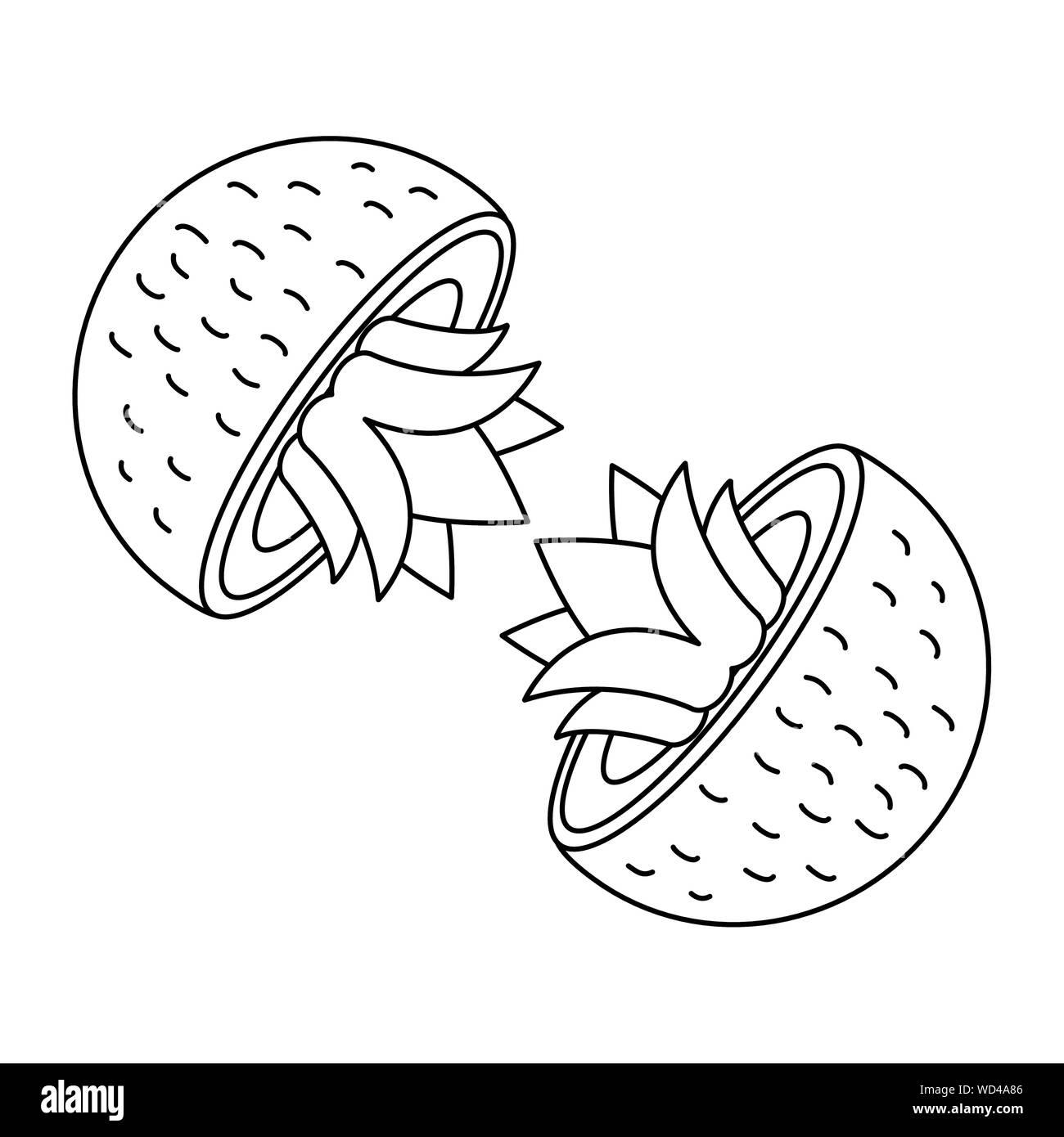 Fruit of onam celebration design Stock Vector Image & Art - Alamy