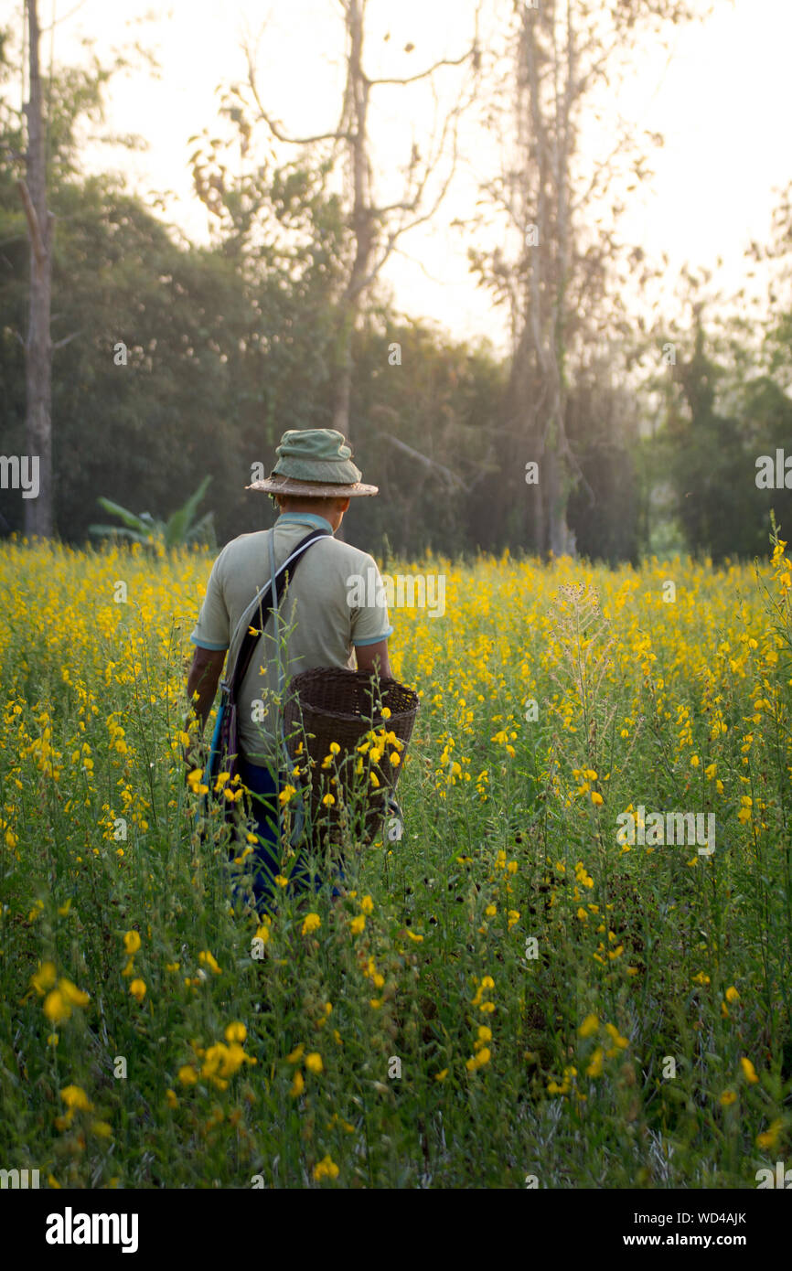Farmer yellow hi-res stock photography and images - Alamy