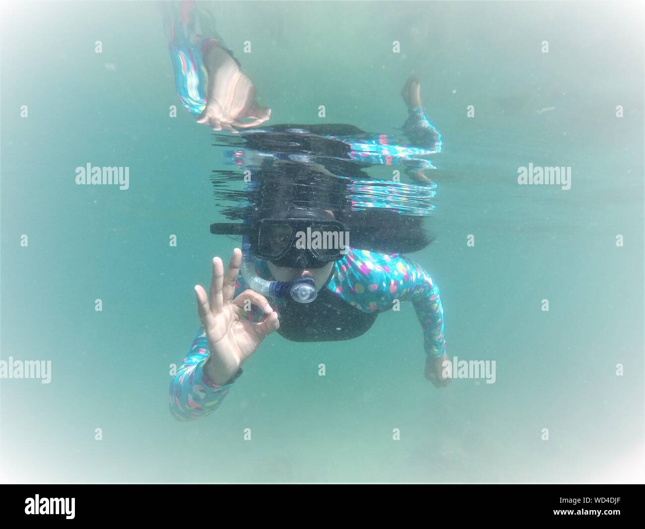 Diver swimming in sea ok hi-res stock photography and images - Alamy