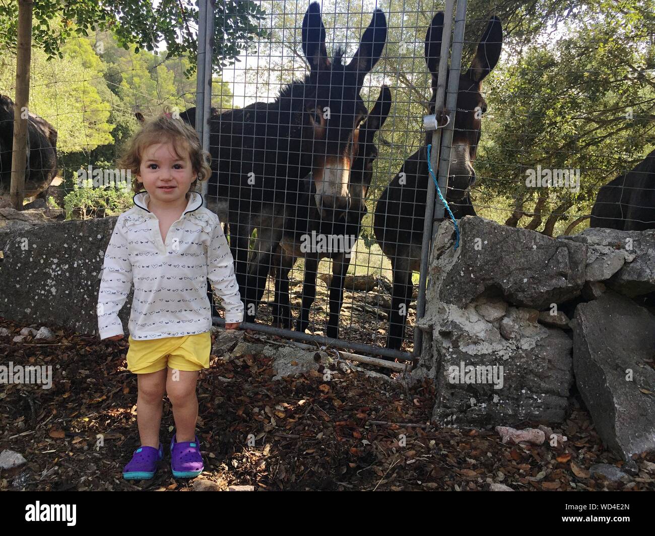 Boy With His Donkey High Resolution Stock Photography and Images - Alamy