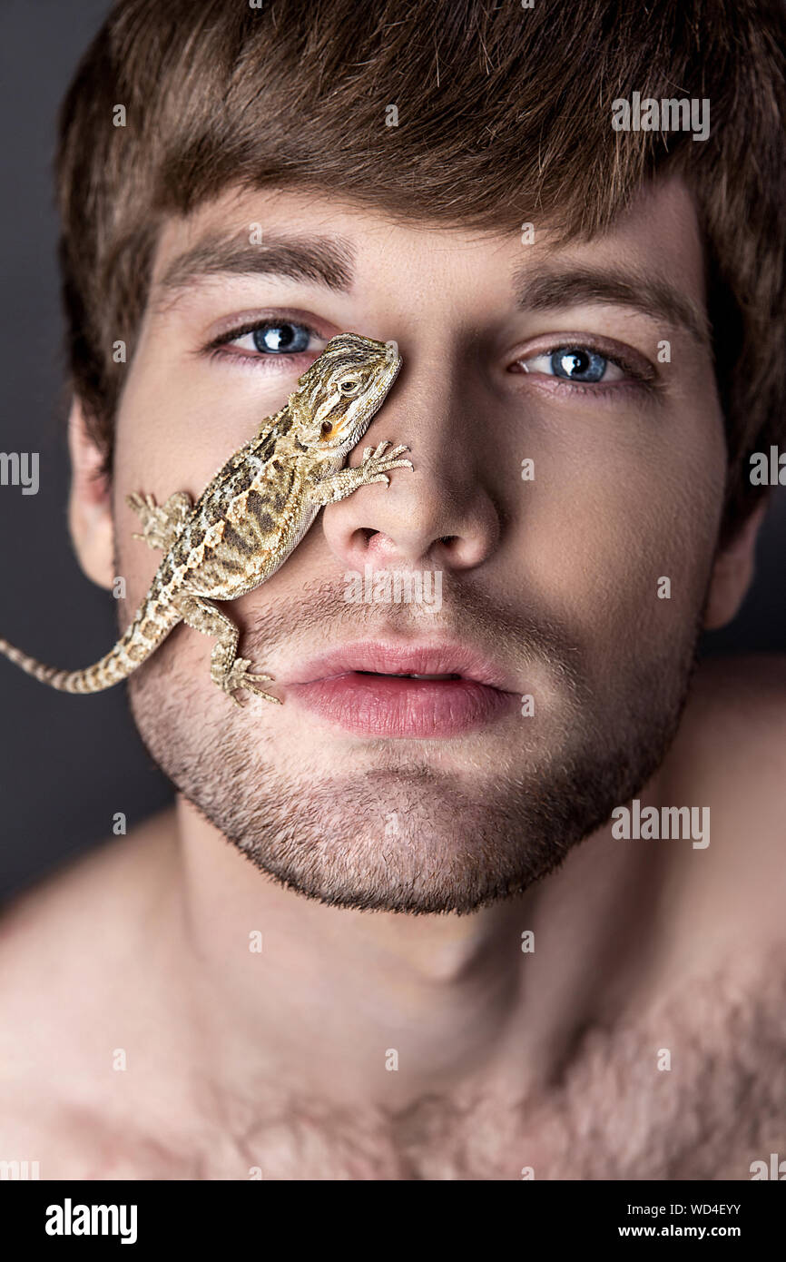 Lizard front face hi-res stock photography and images - Alamy