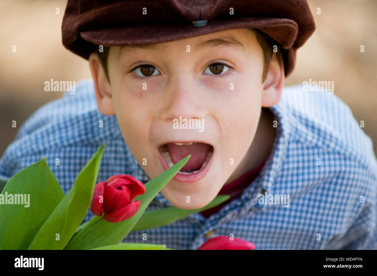 Boy Wearing Cap High Resolution Stock Photography and Images - Alamy