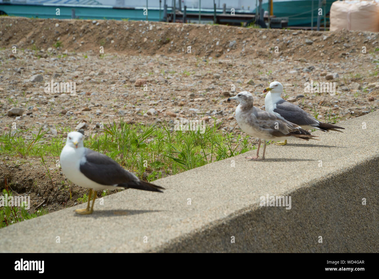 Beautiful shot seashore town hi-res stock photography and images - Alamy